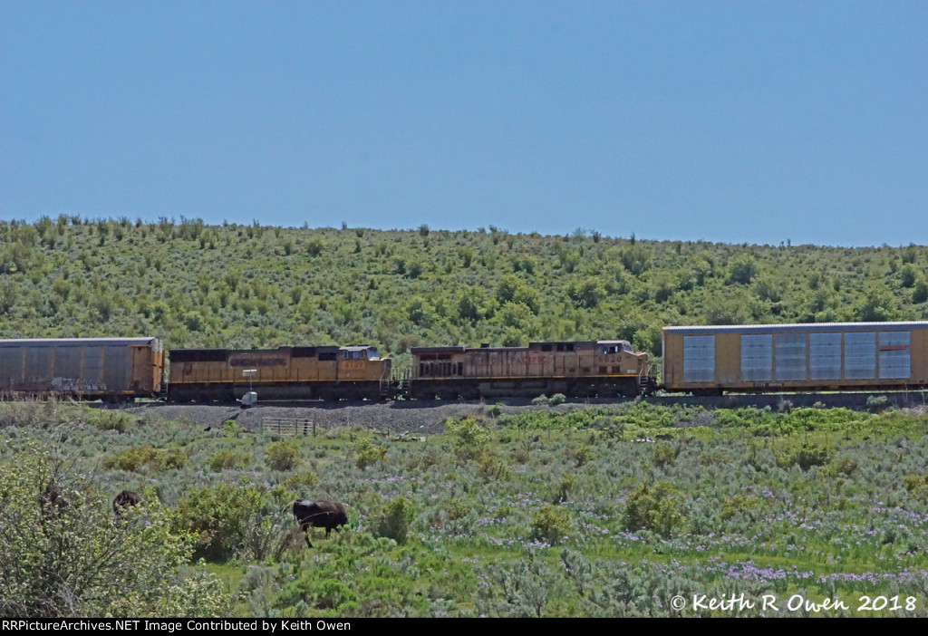 DPUs on a Westbound Manifest
